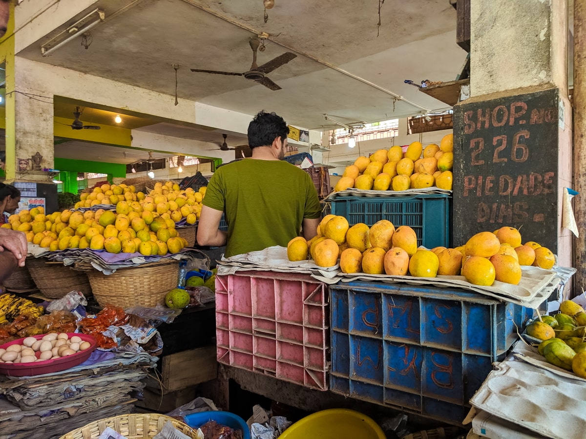 Fruits of Goa [Comprehensive Guide 2024] — Goa Villa