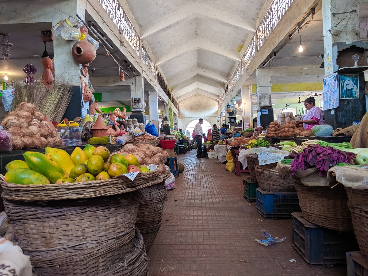 Fruits of Goa [Comprehensive Guide 2024] — Goa Villa