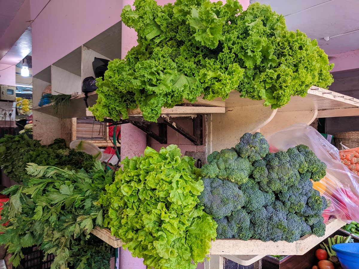 Fruits of Goa [Comprehensive Guide 2024] — Goa Villa